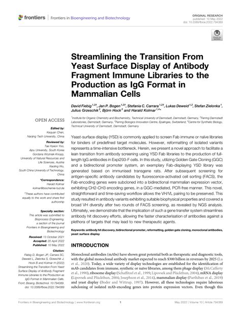 Pdf Streamlining The Transition From Yeast Surface Display Of Antibody Fragment Immune