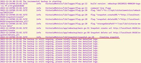 Can Not Create Snapshot And The Whole Backup Hanging May Need To Add