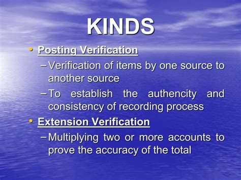 6 Audit Techniques Pptx