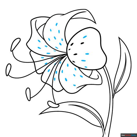 Tiger Lily Flower Drawing