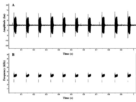 Oscillogram And Audio Spectrogram Of The Advertisement Calls 14 Notes Download Scientific