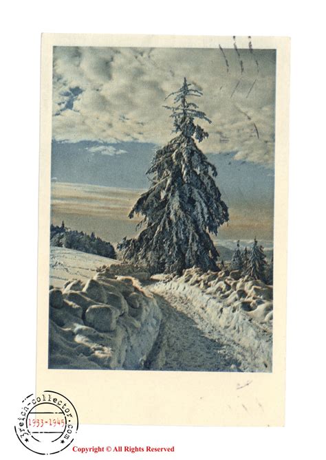 Ww2 Concentration Camp Kl Original Items Postcard Sent To Czech
