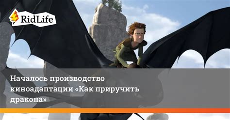Началось производство киноадаптации «Как приручить дракона»