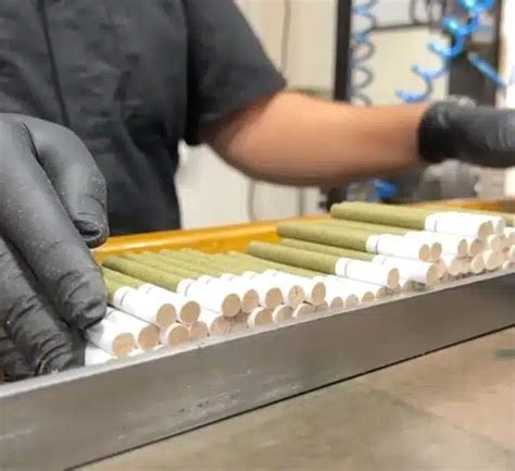 Hemp Hop Hooray Hempacco Celebrity Hemp Cigarettes