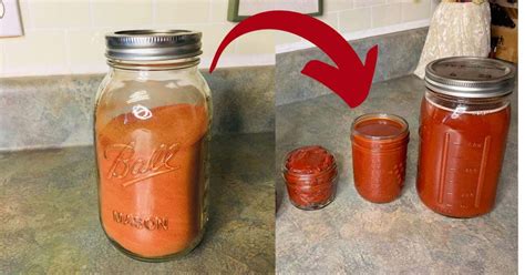 How To Make Tomato Powder Step By Step Food Prep Guide Preserving