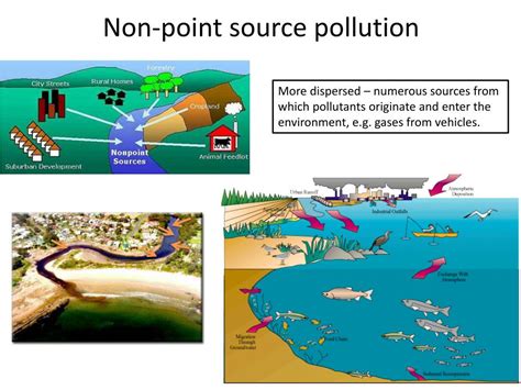 ppt types of pollution powerpoint presentation free download id