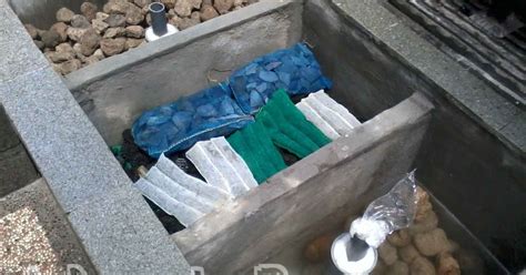 Mengenal Aneka Jenis Filter Pada Pembuatan Kolam Ikan Koi Garden Center