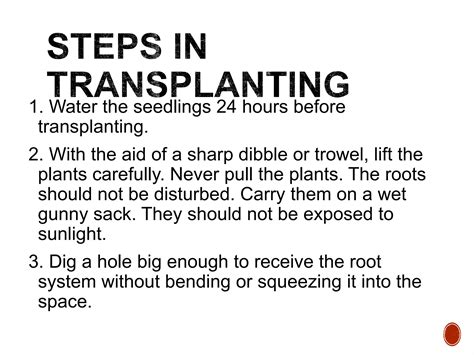 Transplanting Of Vegetable Seedlings Pptx
