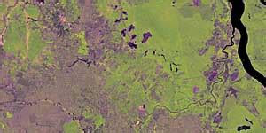 Access JAXA Satellite Data JAXA Earth Graphy Space Technology Directorate I