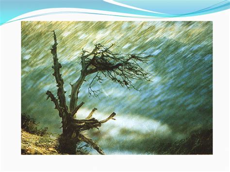 Презентация Ветер 6 класс география скачать бесплатно Pptx