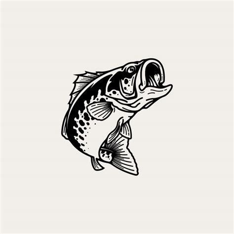 Largemouth Bass Drawing