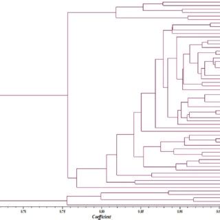 UPGMA Dendrogram For The Genetic Relationship Among Individuals Of Phu