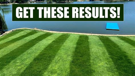 Fall Fertilizer For Your Best Lawn Ever Youtube