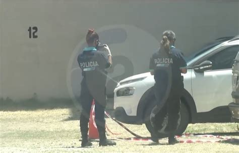 Tragedia un turista dio marcha atrás con el auto y aplastó a su hija