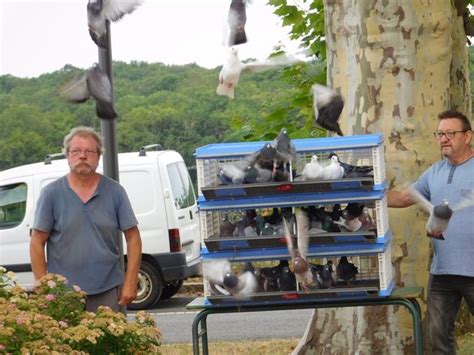 Des Voyageurs Prennent Leur Envol Serbannes 03110