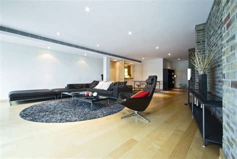 Sala De Estar Contemporánea Con Muebles Del Diseñador Foto de archivo