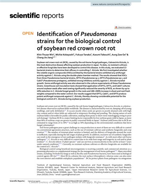 Pdf Identification Of Pseudomonas Strains For The Biological Control
