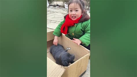 有被她暖到～ 在邻居家抱了只刚满月的小狗回来 没想到孩子居然是这反应！ 童心无忧无虑的年纪 Youtube