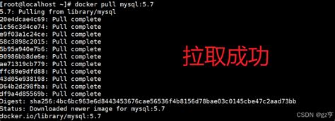 Docker拉取mysql镜像失败 Csdn博客