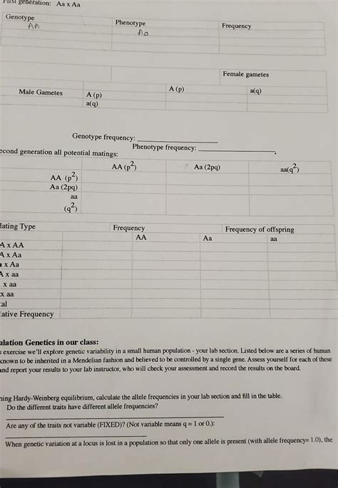 Solved First Generation Aa X Aa Genotype Aa Phenotype
