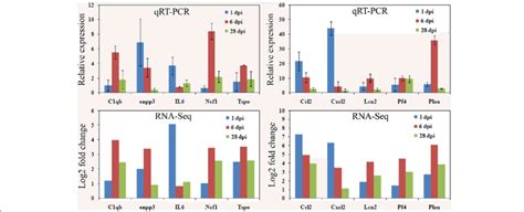 Quantitative Rt Pcr Validations Of Degs Characterized By Rna Seq The