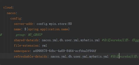 集群模式bug 使用discovery会报错java lang illegalstateexception failed to req