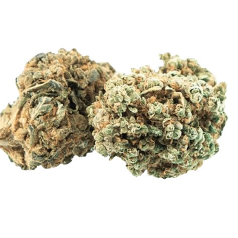 Sirius Medizinalcannabis Rezept Legal Kaufen Doktorthc