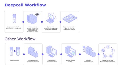 Understanding AI For Cell Biology Deepcell