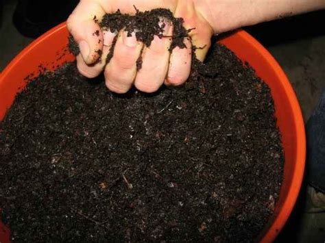 How To Prepare Coco Coir Casing Layer And Bulk Substrate — Shroom Stop