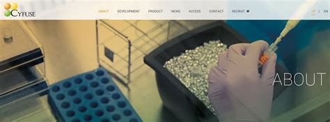 サイフューズipoのbbスタンスとipo評価！再生医療ipo Ipo初値予想 Ipo株ビギナーの投資日誌