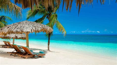 National Beach Day Wishes Quotes Greetings
