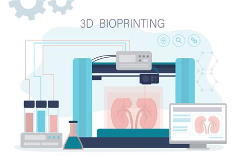 3d 바이오프린터 프린팅 신장 인간 장기 복제 조직 뼈 및 내부 장기의 바이오프린팅 개념 바이오프린터 새로운 장기 이식 기술 3