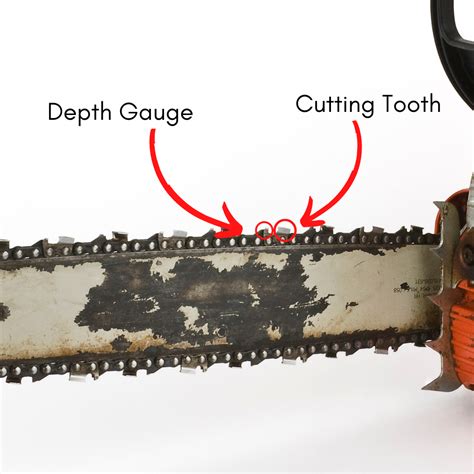Tips For Using And Maintaining Chainsaws Productive Parks