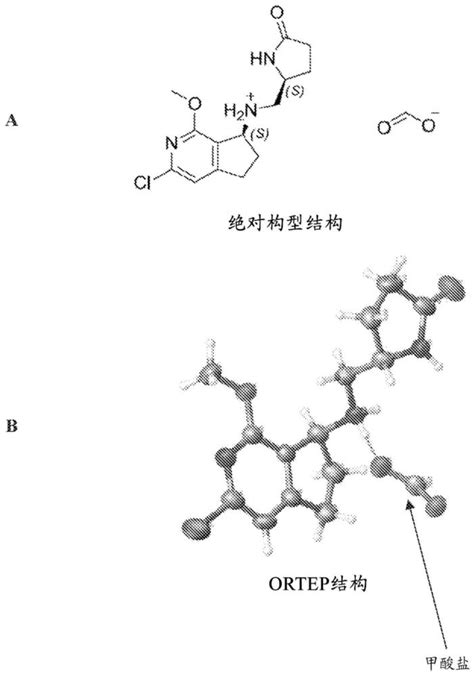 用于靶向PD L1的方法和组合物与流程