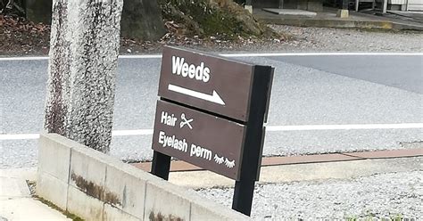 Weeds（彦根市平田町） エキテン