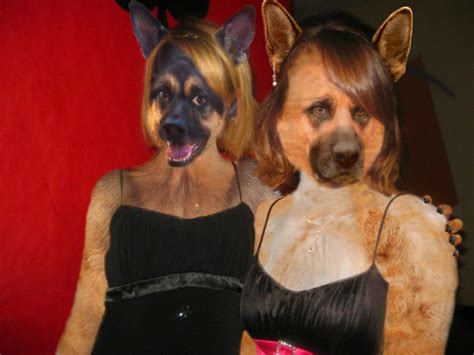 German Shepherd Girls By Curious Red Fox On Deviantart