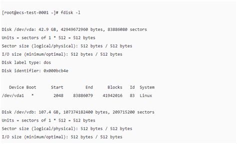 靓靓小知识 Linux磁盘挂载 Mbrvda是什么磁盘 Csdn博客