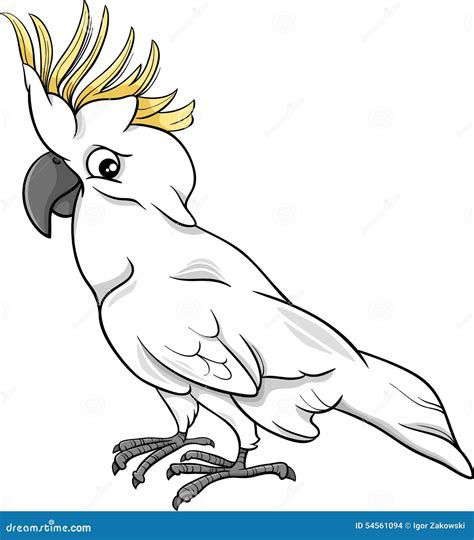 Cockatoo Parrot Cartoon Illustration Stock Vector Illustration Of