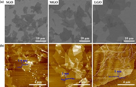 A SEM Images And AFM Images Of SGO MGO And LGO The Thickness Of GO