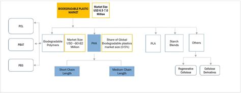 Polyhydroxyalkanoate Market Size Pha Industry Share Forecast [latest]