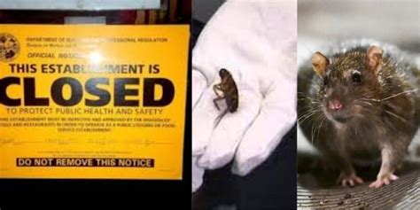 Four Central Florida Restaurants Shut Down After Health Inspectors Find