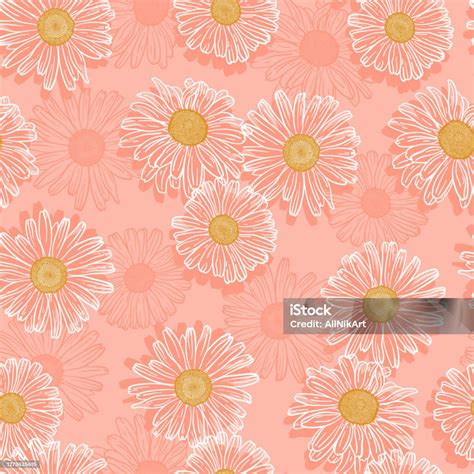 Hoa Vector Hoa Hoa Mẫu Bối Cảnh Của Outline Vintage Daisy Hoa Hình Nền
