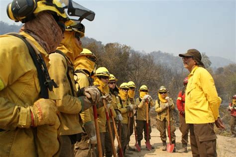 Temporada De Incendios Forestales Conoce Los Requisitos Para Formar