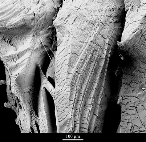Materials Ductile Tearing Near A Fracture Surface In