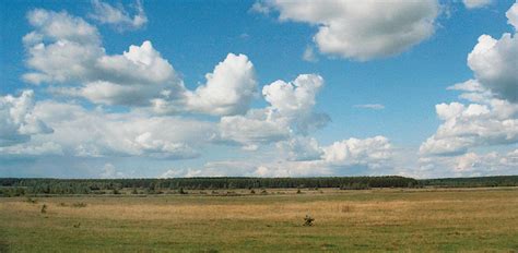 Полісся фотографії України