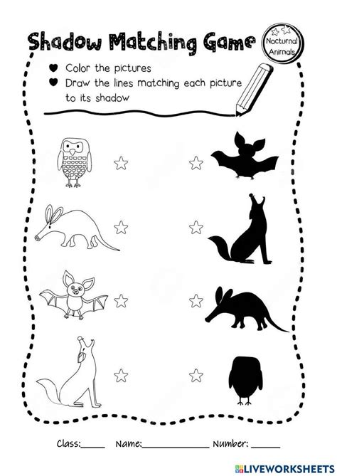 Shadow Worksheet Match Online Exercise For Live Worksheets