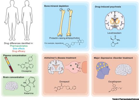 Pharmaceutical Implications Of Sex Related Rna Divergence In
