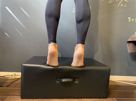 臨床で使える7つの膝関節運動療法 Reharock〜リハロック〜