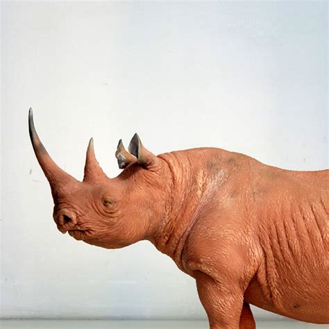 발송 안내 도남작업실 아프리카 시리즈 110 비율 검은코뿔소 미도색킷 고현생