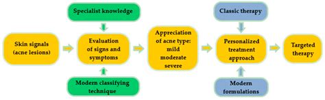 Structure Of The Epidermis Diagram Adipocyte Leaf Epidermis